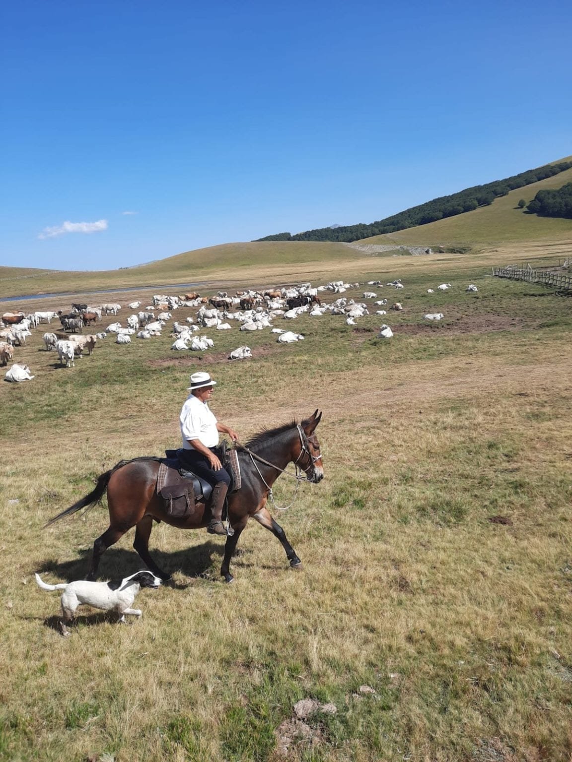 Giovedì 27 Agosto una giornata a cavallo nello splendido scenario dei ...